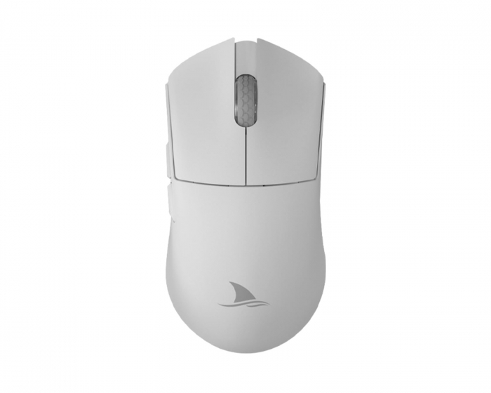New and exciting gaming equipment from Darmoshark - MaxGaming.com